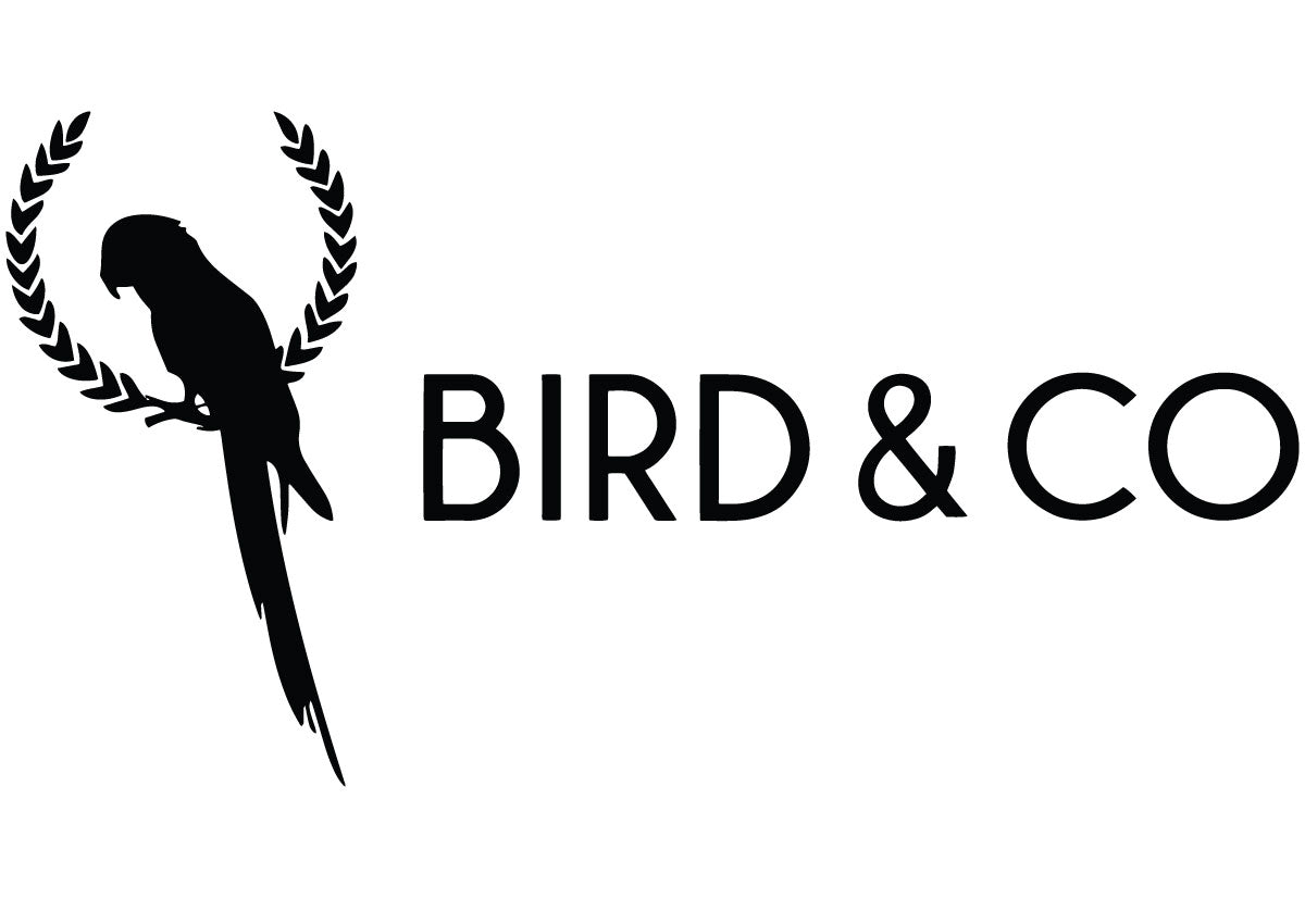 Bird and Co | Oficial | Sapatos confortáveis e estilosos feitos a mão